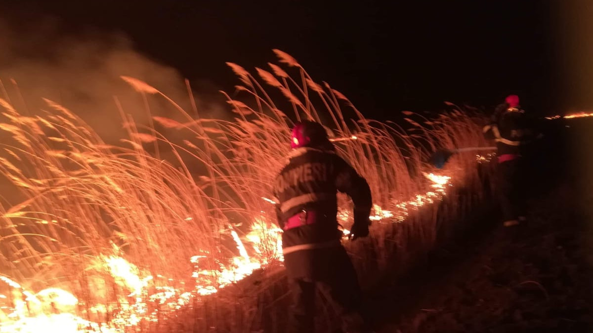 FOTO O sută de hectare de stuf și vegetație uscată au ars în două ...